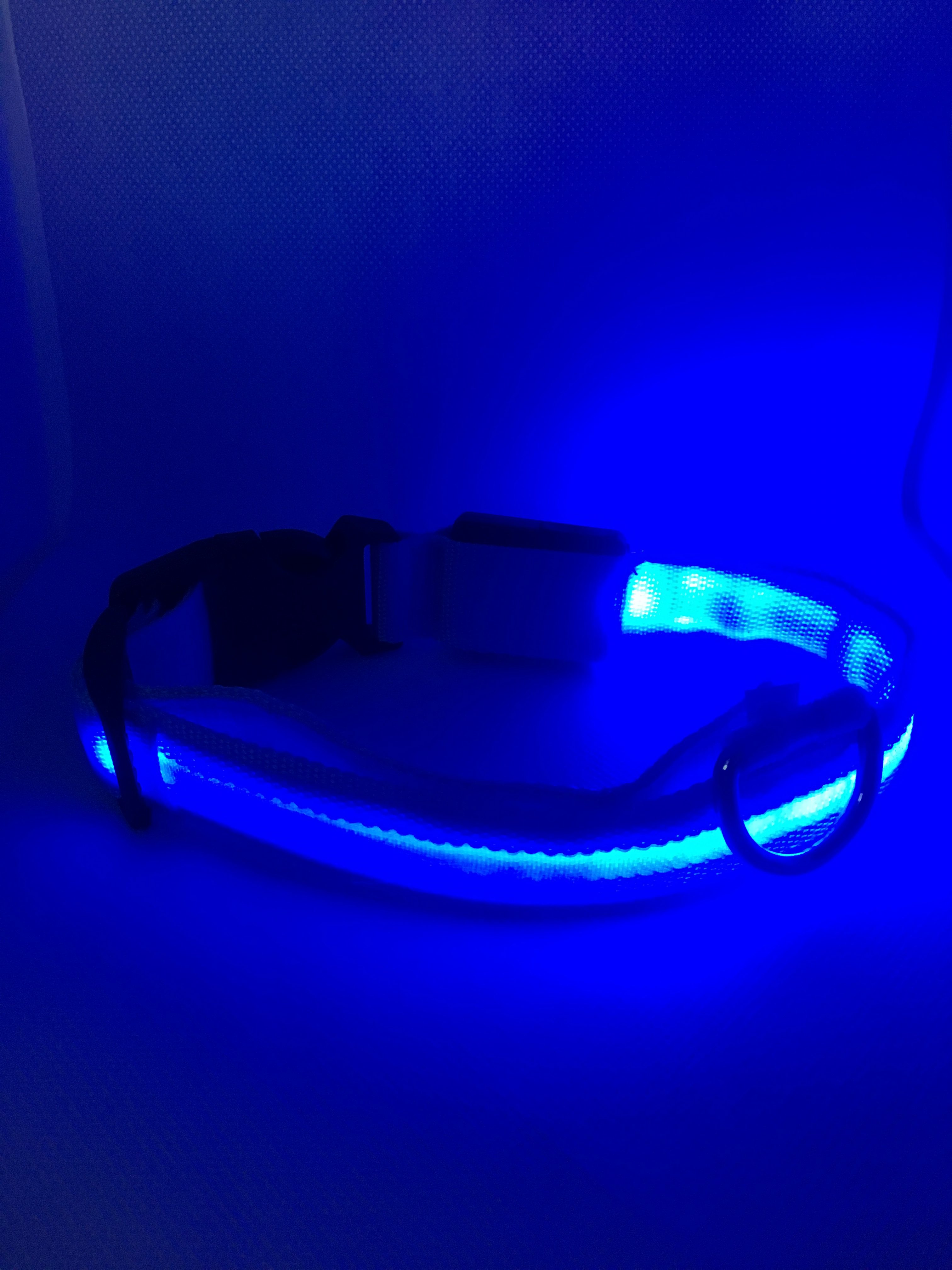 Collar Led Con Carga USB | MundoZOO